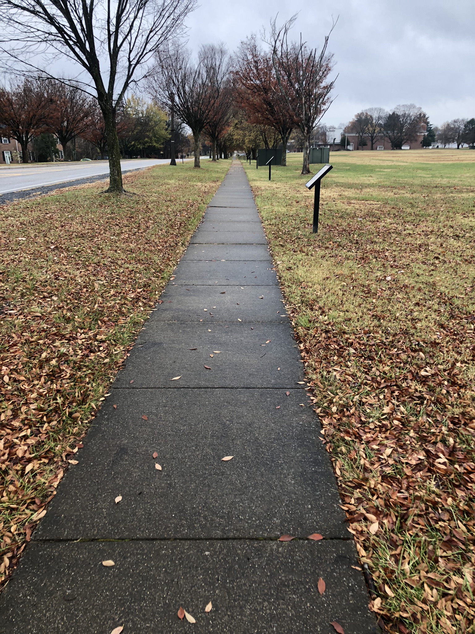 That Path Looks Scary… – cup of joanna